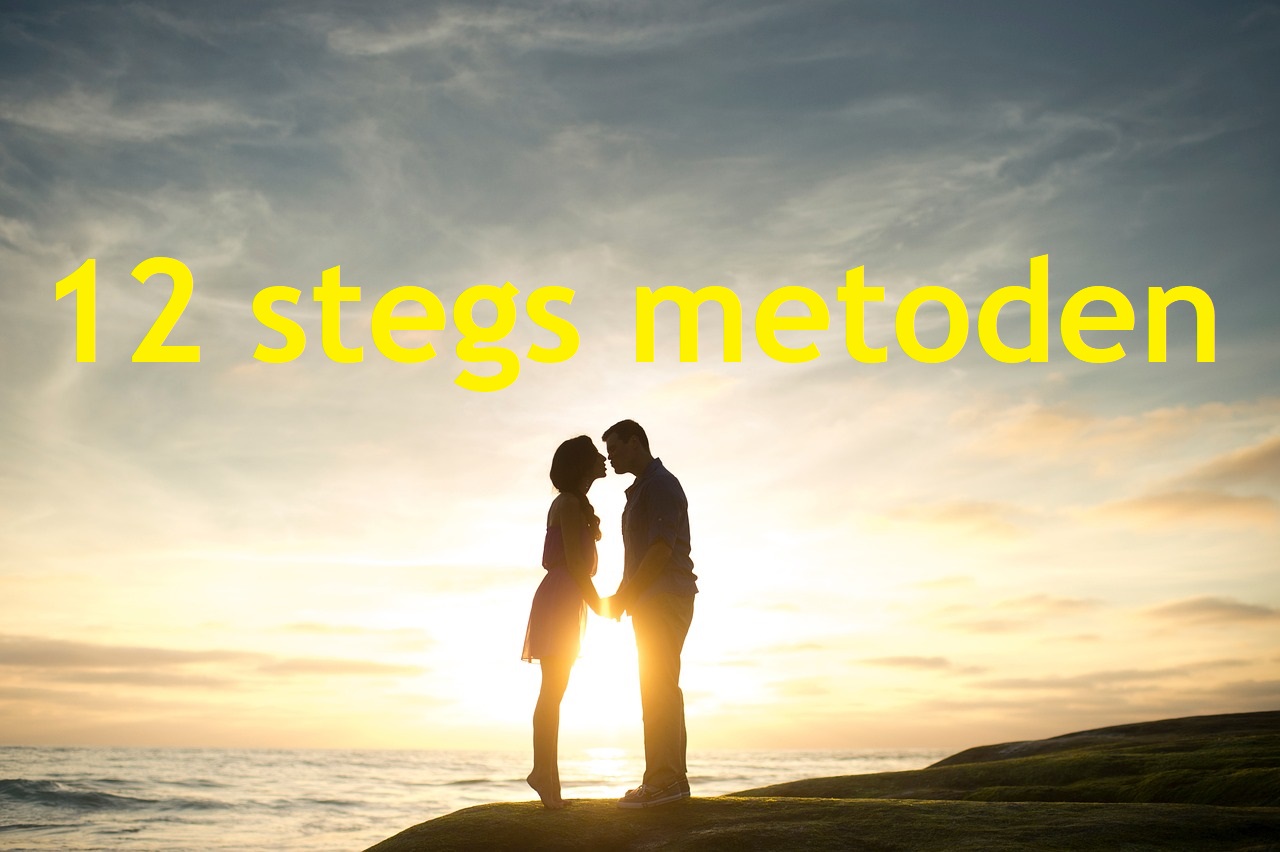 Kan man kombinera 12 stegs metoden med andra metoder ? – Joakim Månsson